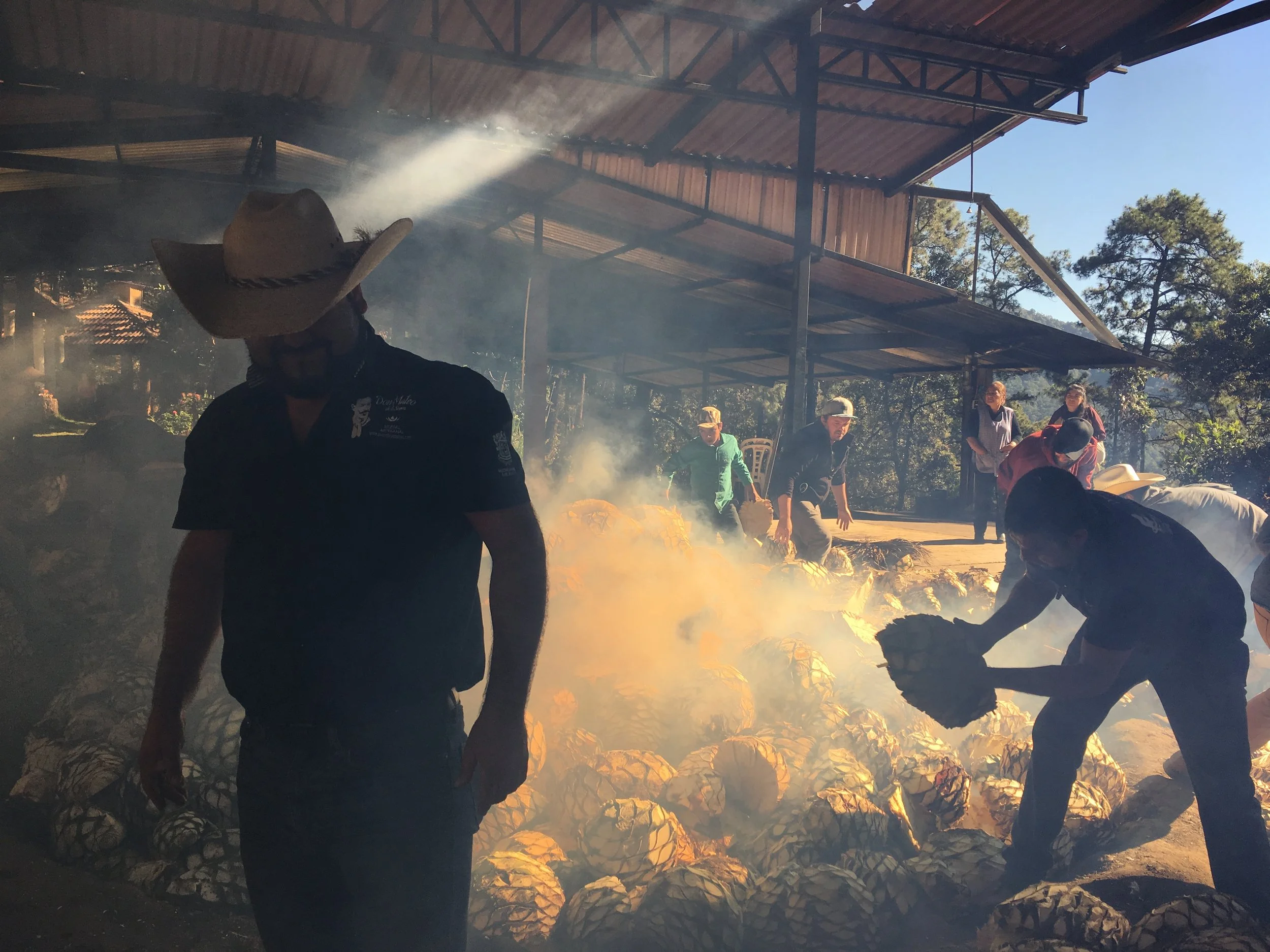 About Us — Tequila Interchange Project