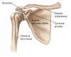 The Best Shoulder Joint Centration Exercises To Solve Shoulder Pain ...