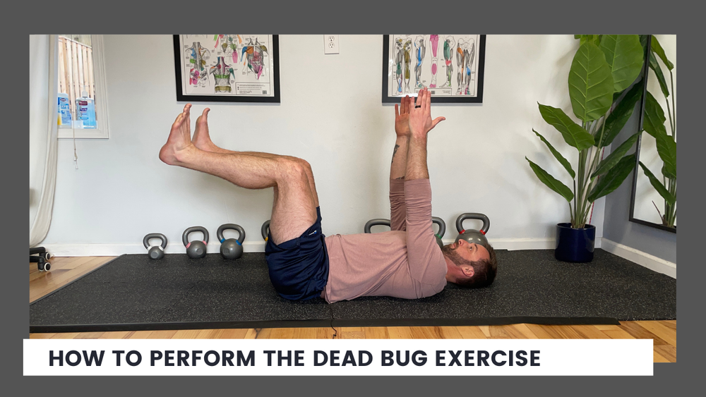 Dead Bug Exercise For Beginners — Solving Pain With Strength | Dr. Carl ...