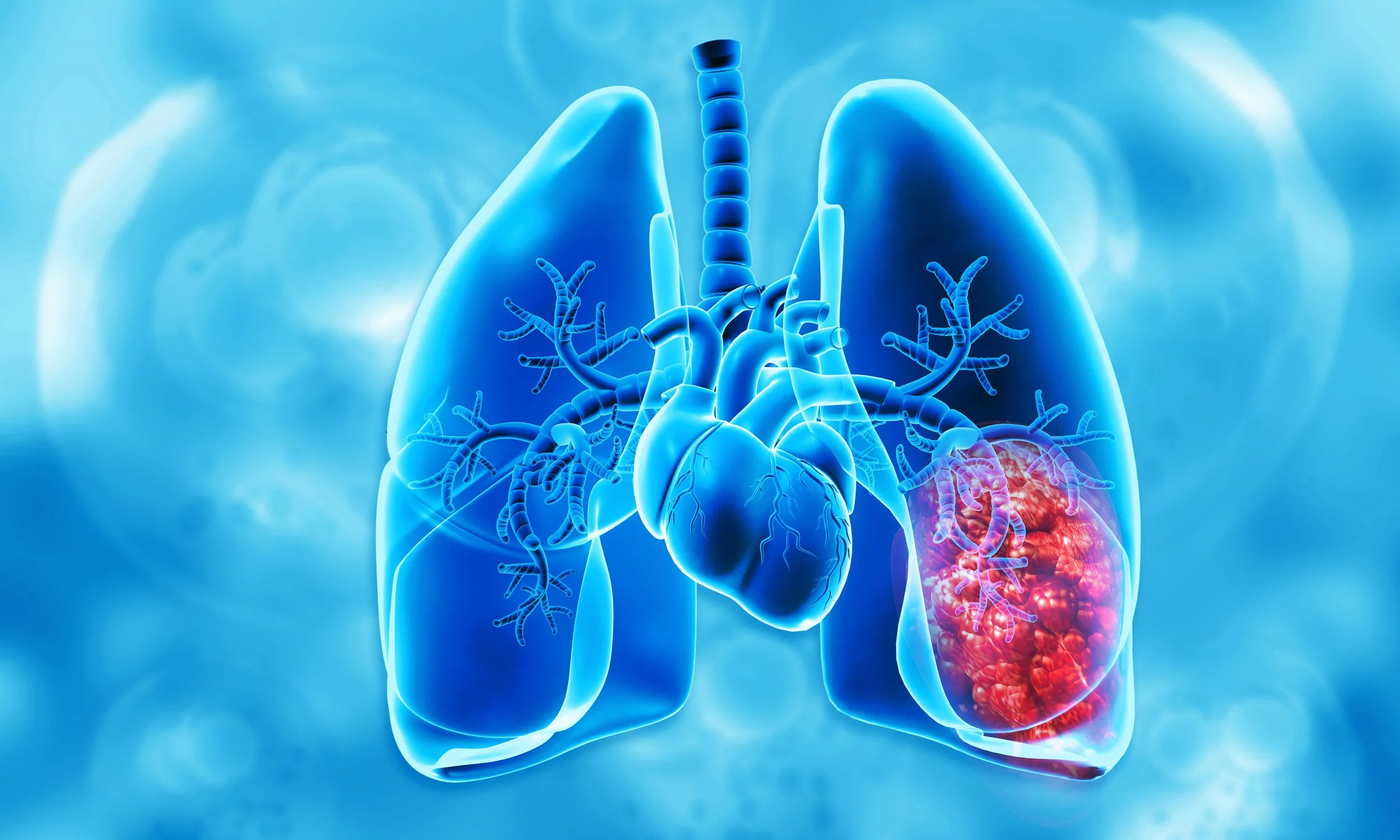Coastal - Respiratory and Sleep Specialists