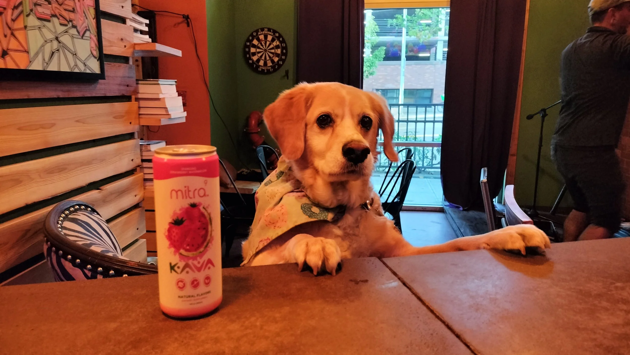 Swamp Cow Kava Lounge