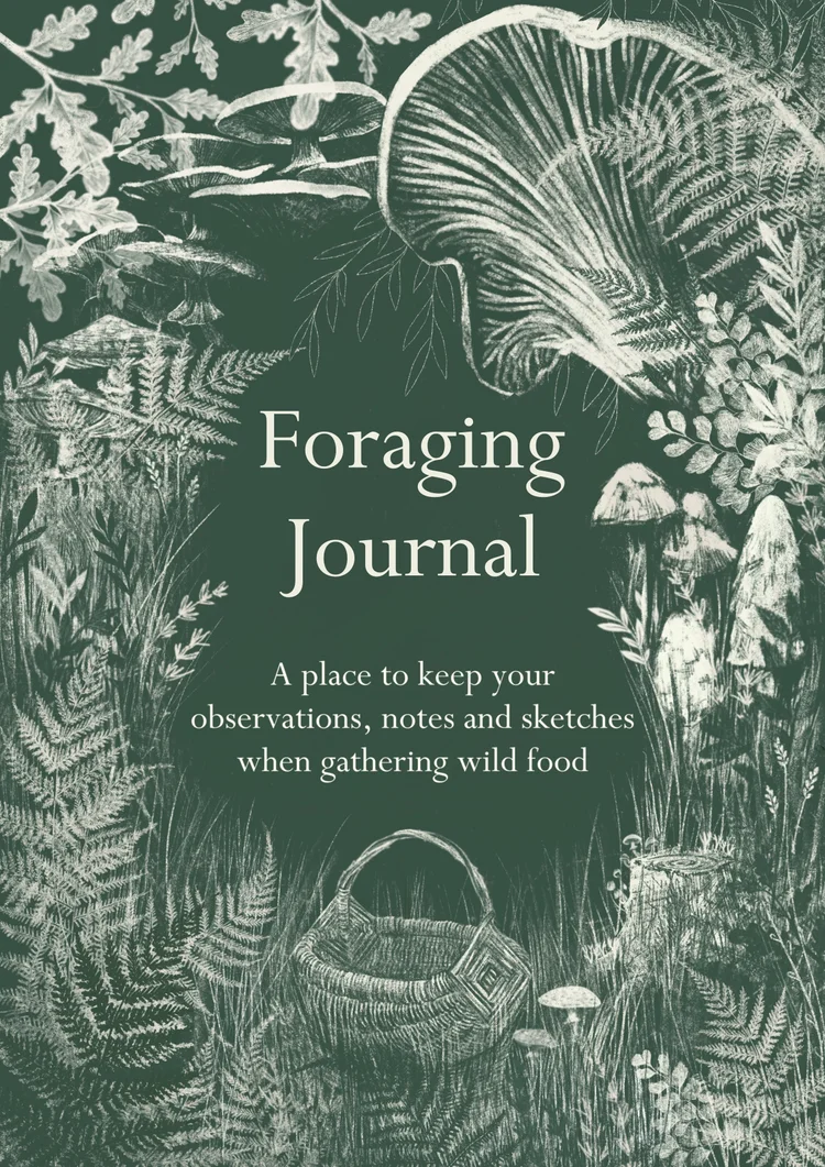 Illustration — Ruby Scott-Geddes