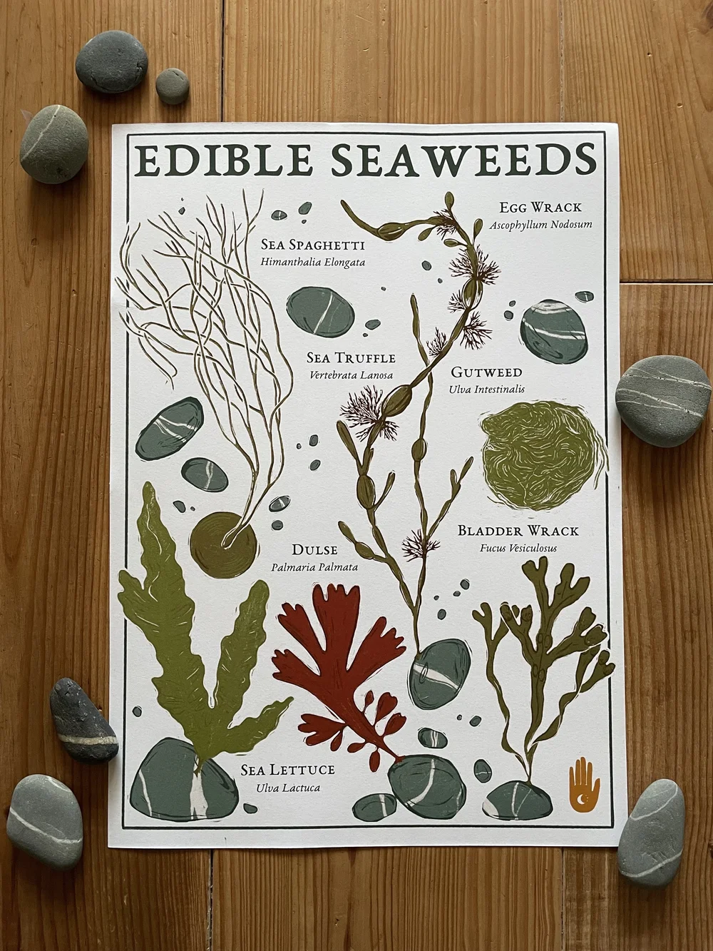 Illustration — Ruby Scott-Geddes