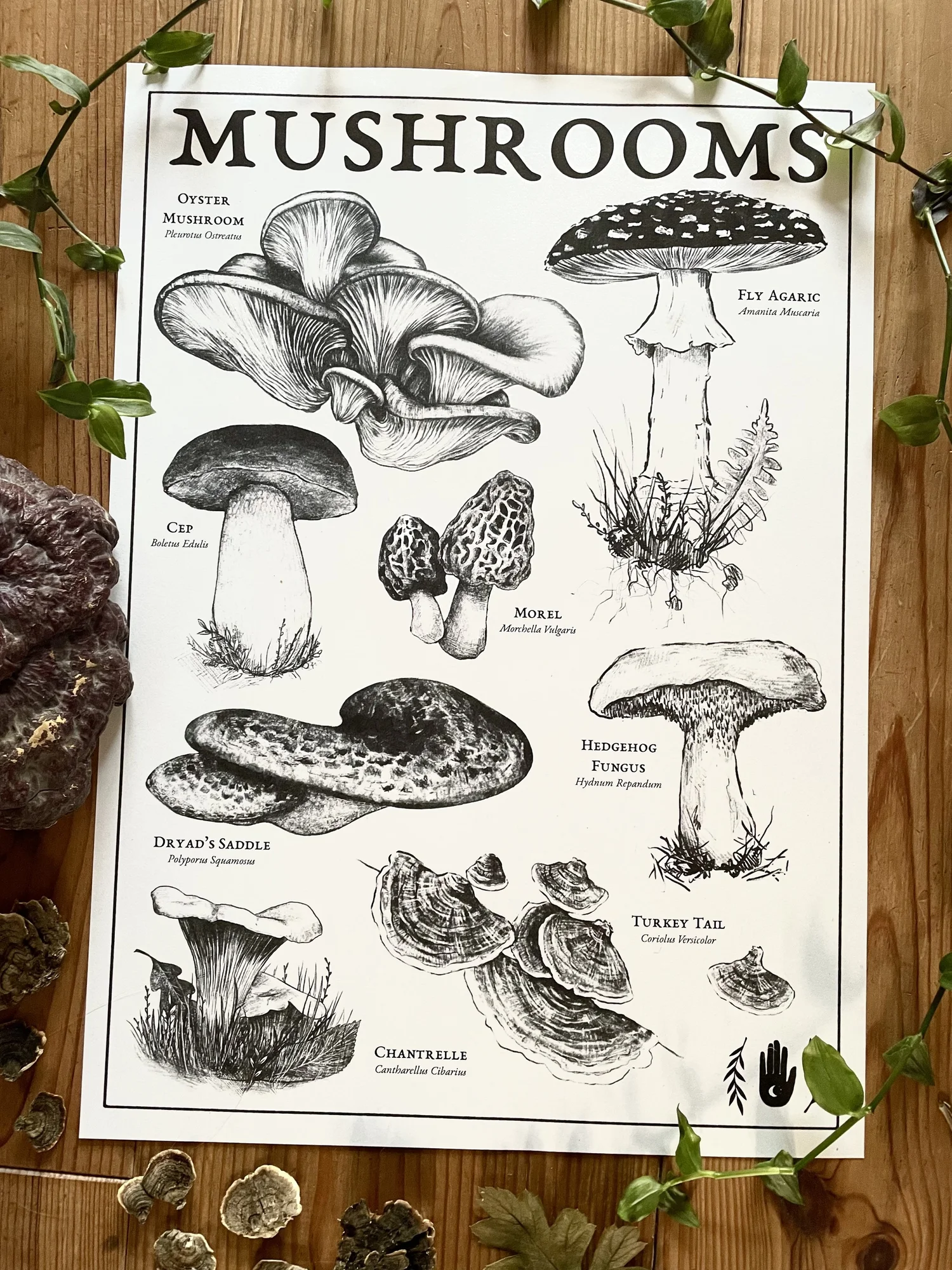 Illustration — Ruby Scott-Geddes