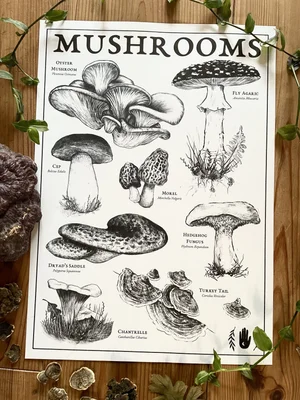 Illustration — Ruby Scott-Geddes