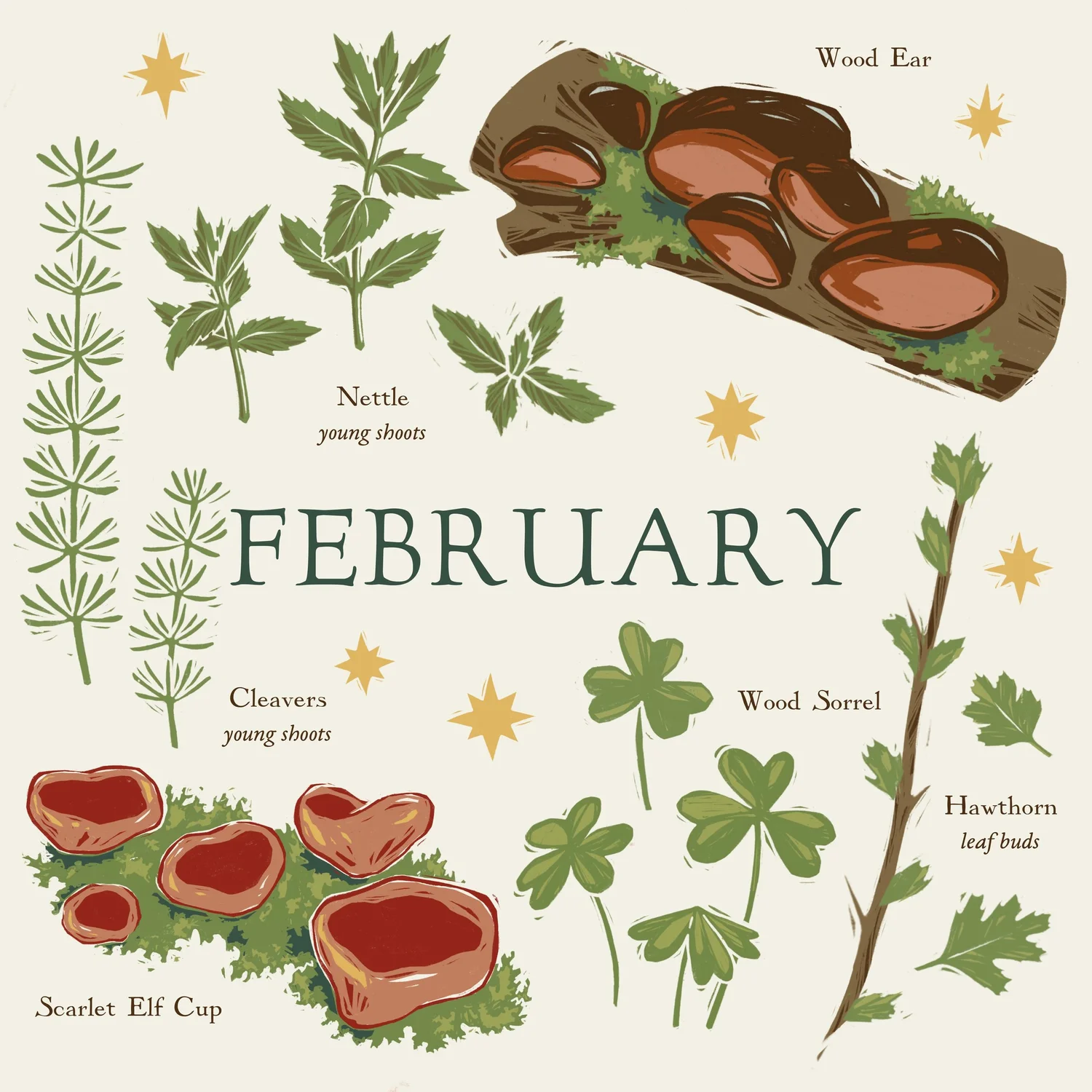 Illustration — Ruby Scott-Geddes