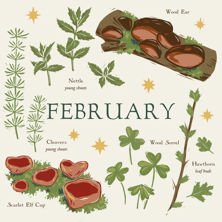 Illustration — Ruby Scott-Geddes