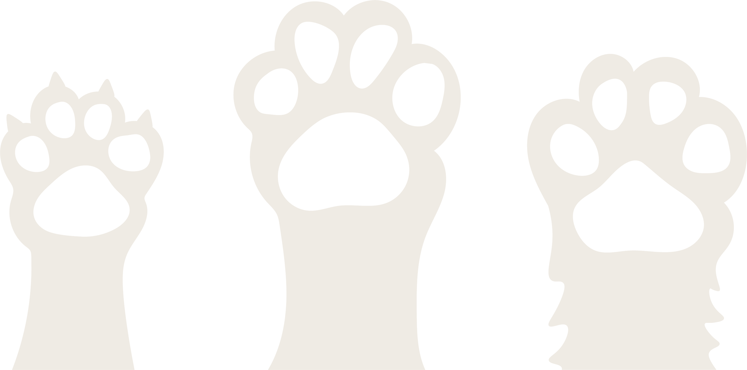 Paws Up Veterinary | Schedule Quality Pet Care Today