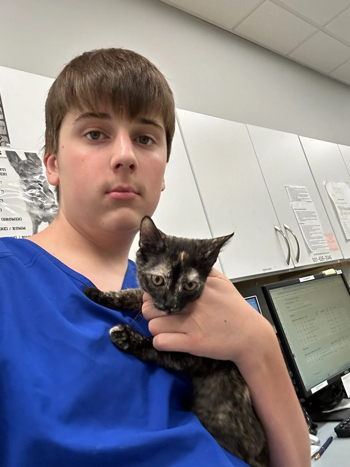 About Us — Veterinary Wellness Clinic of Spring Hill