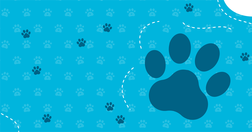 About Us — Veterinary Wellness Clinic of Spring Hill