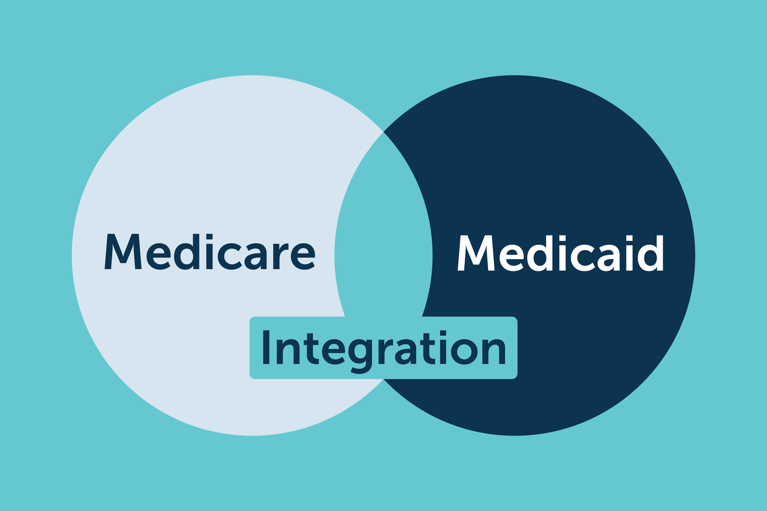 Winding Down the Financial Alignment Initiative: State Strategies to Transition Dual Eligible ...