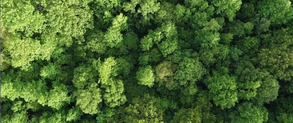 TOYO Solar| Leading solar solutions company