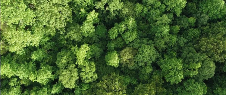 TOYO Solar| Leading solar solutions company