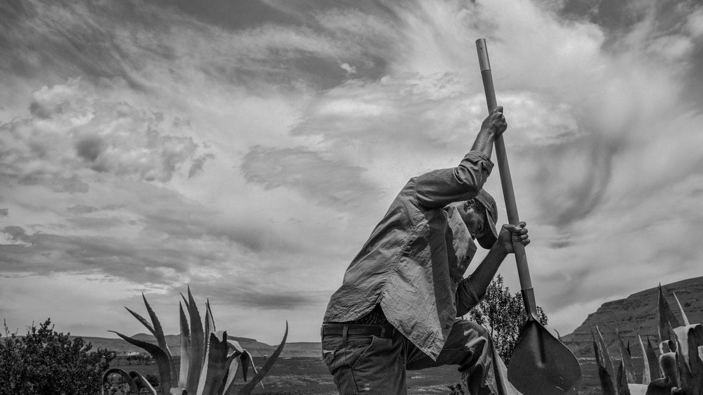 About African Agave — SANGO AFRICAN AGAVE