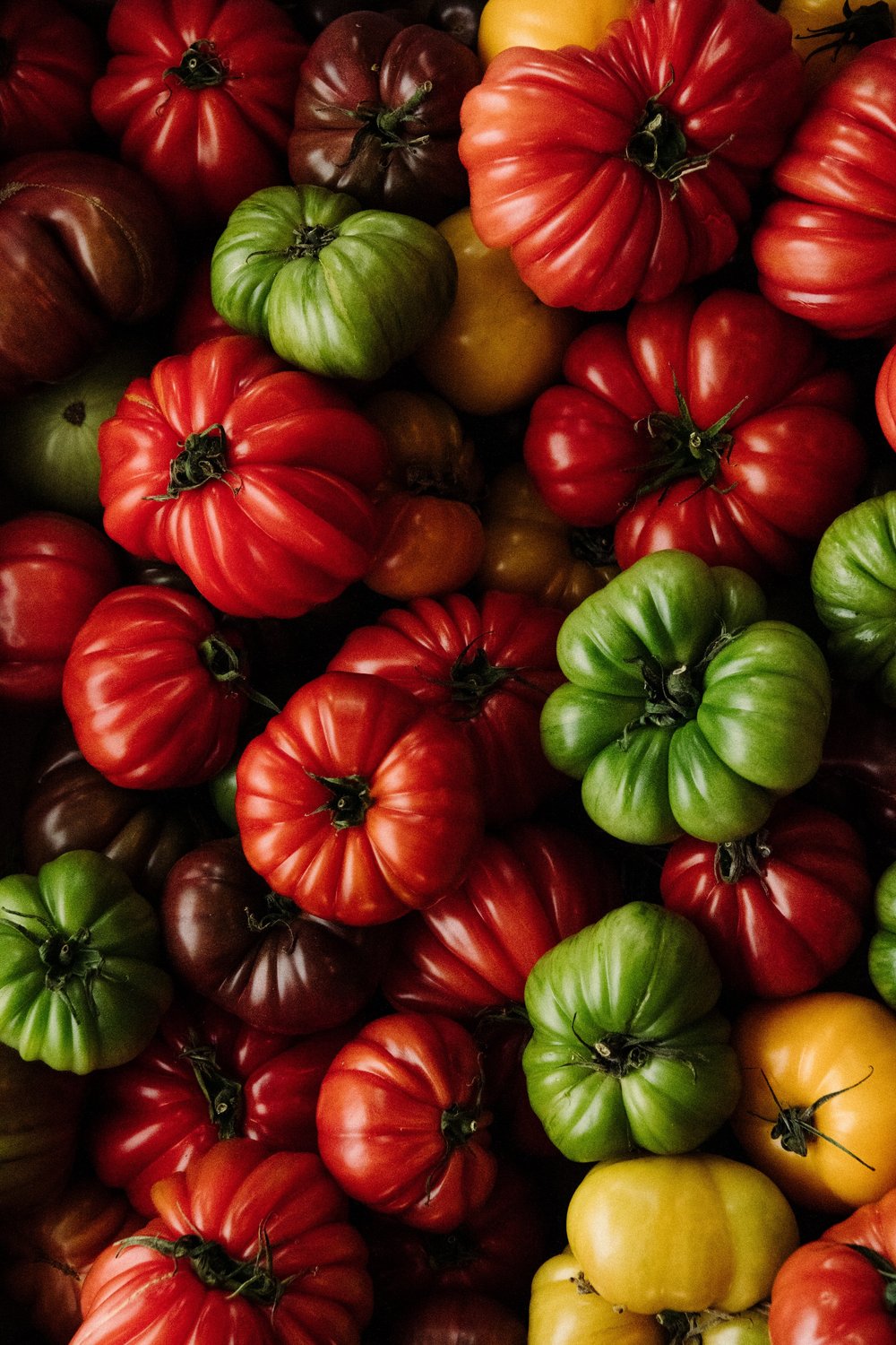 Auckland Based Food Photographer — Josh Griggs Photographer