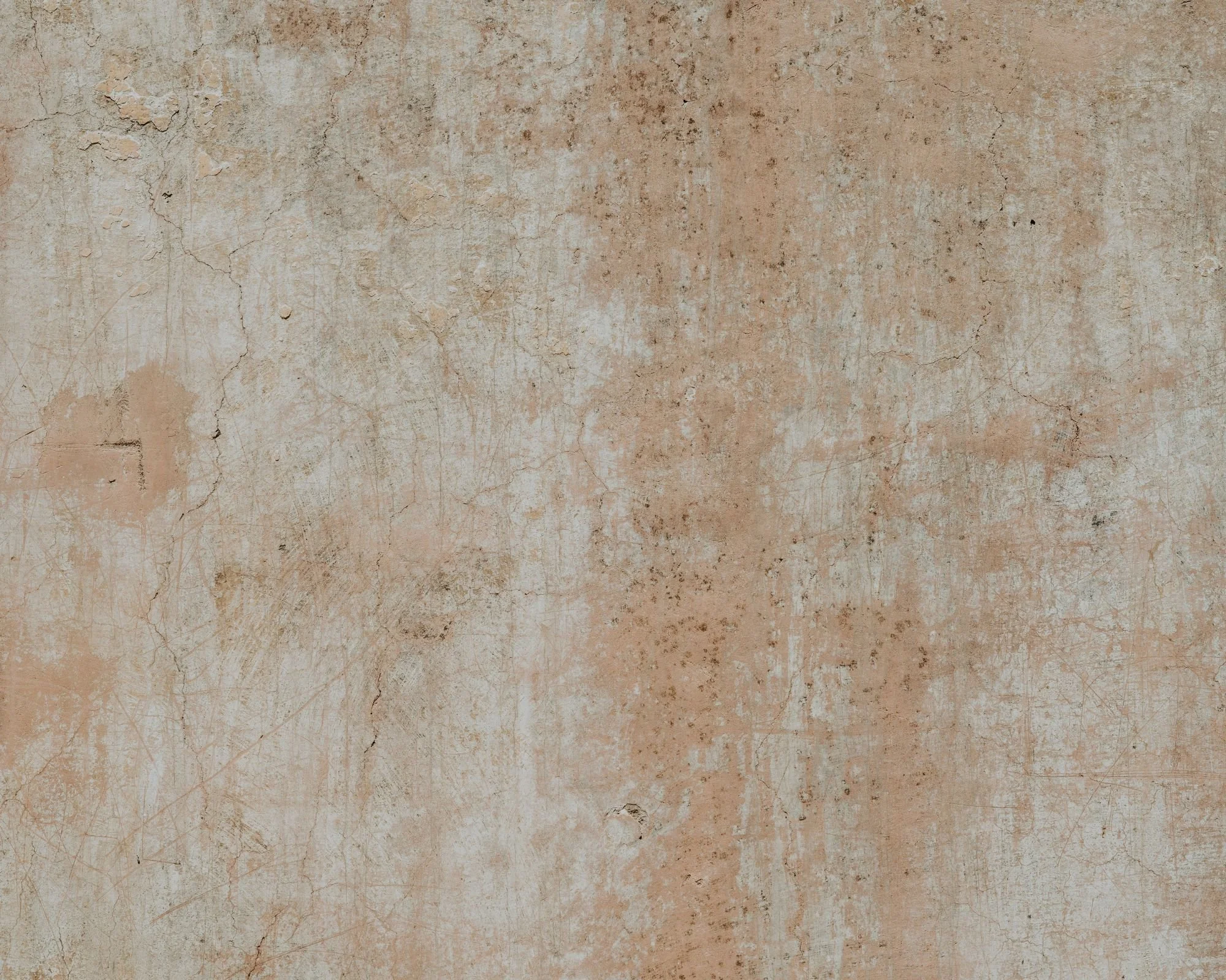 Indahl Executive Coaching