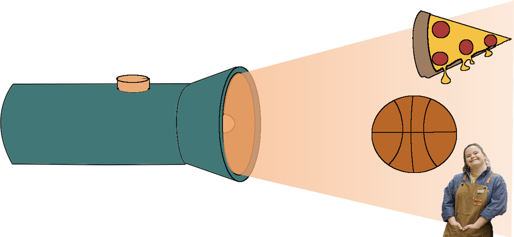 ADHD | Flashlight Model — Fast Track Therapy