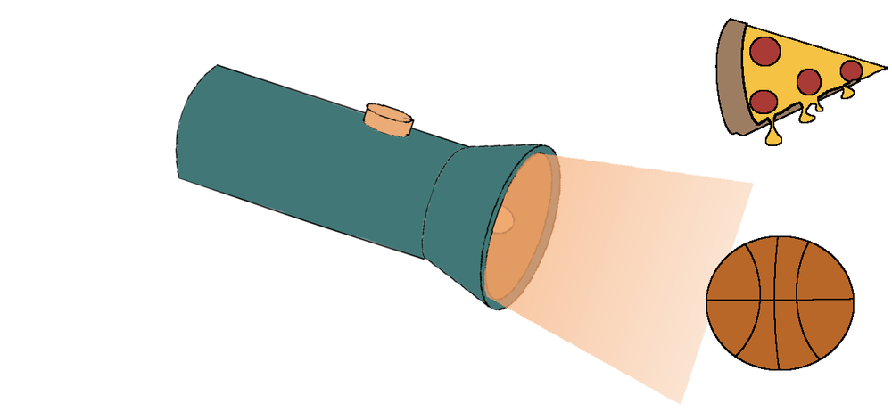 ADHD | Flashlight Model — Fast Track Therapy