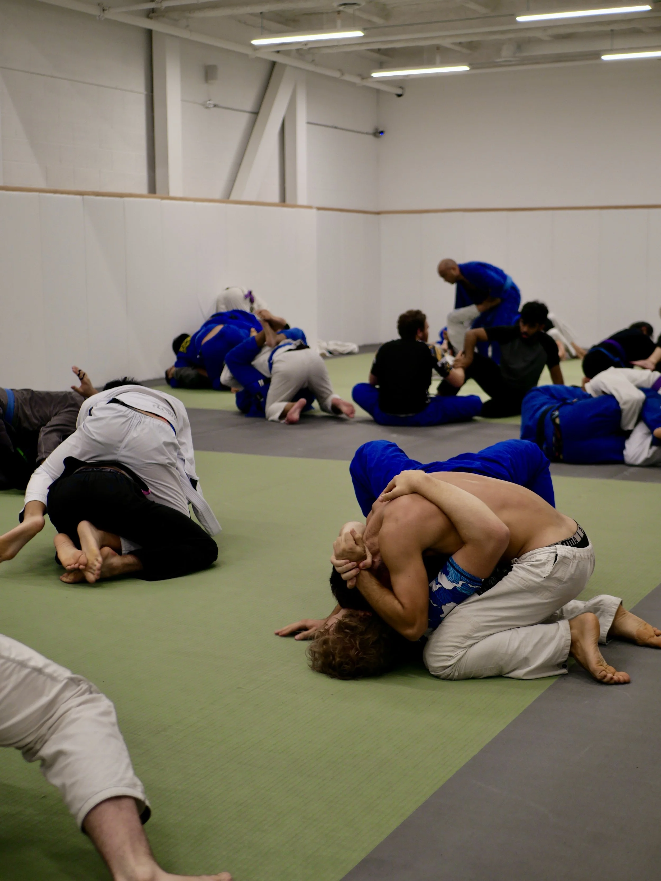 What is Jiu Jitsu? — WABI SABI JIU JITSU
