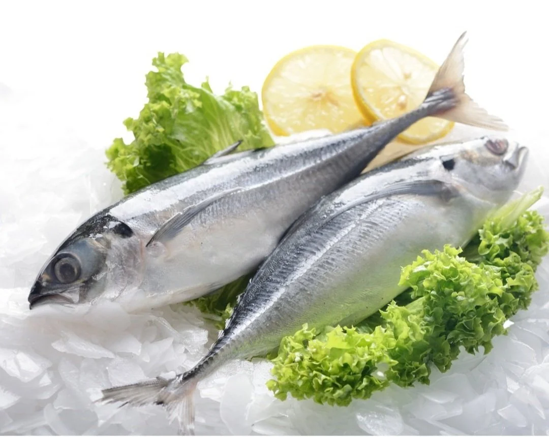 MSC-Certified Frozen Fish Exports — Khoi Viet Seafood