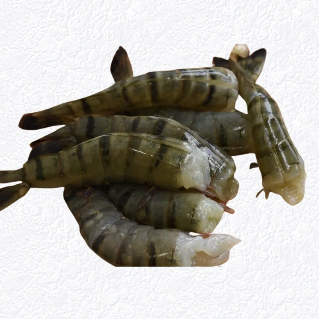Black Tiger Shrimp Headless Shell-On — Khoi Viet Seafood