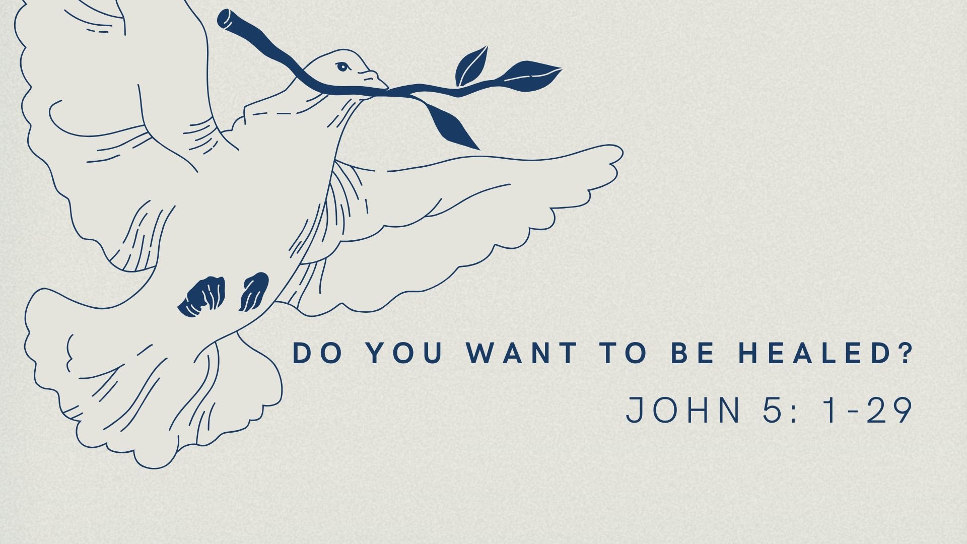 Rooted Bible Church— Home