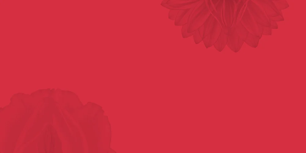 Lady Garden Foundation