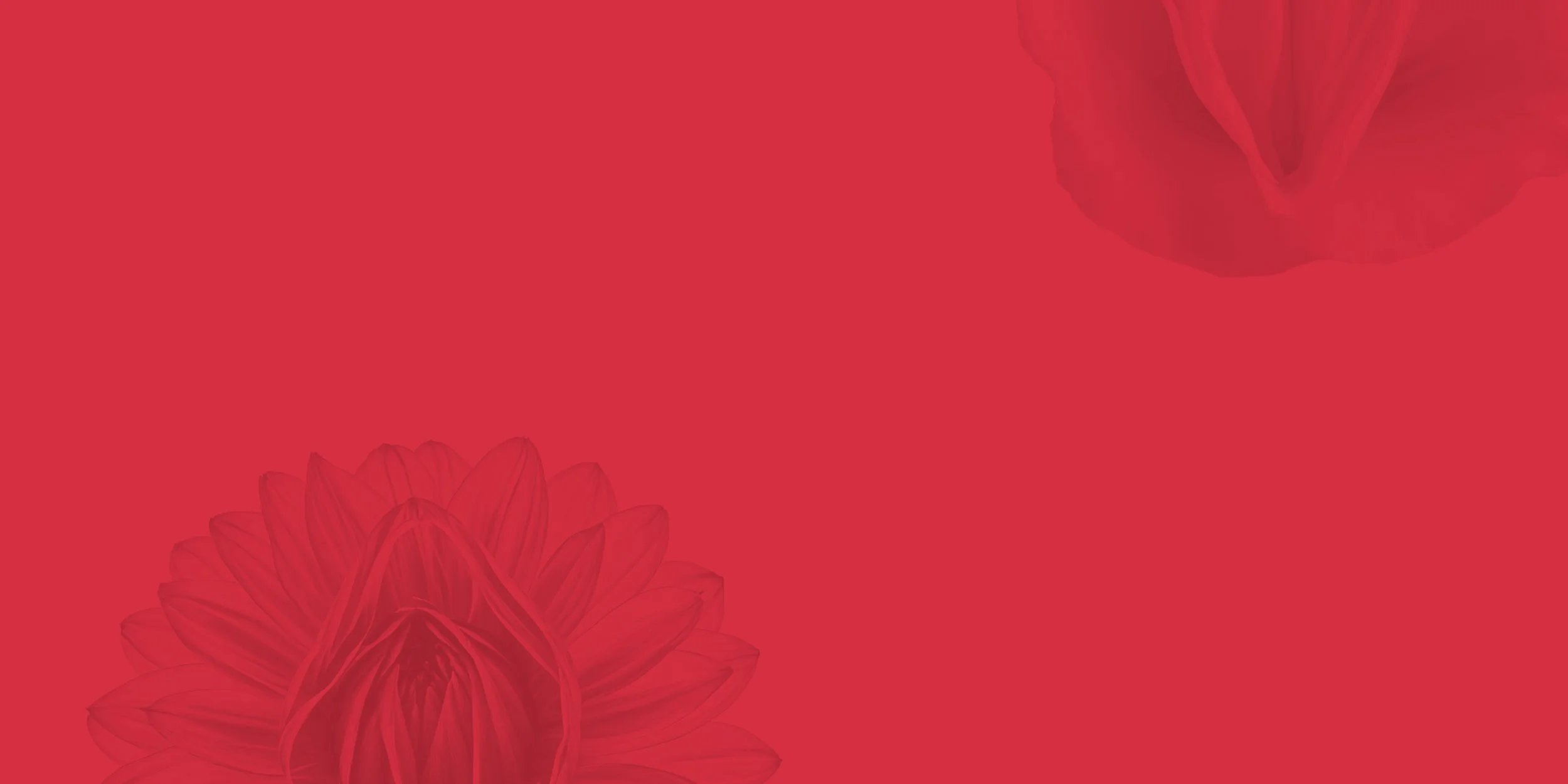 Lady Garden Foundation