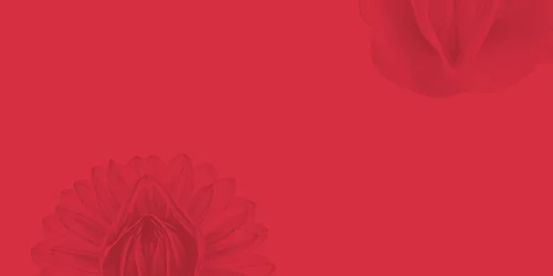 Lady Garden Foundation