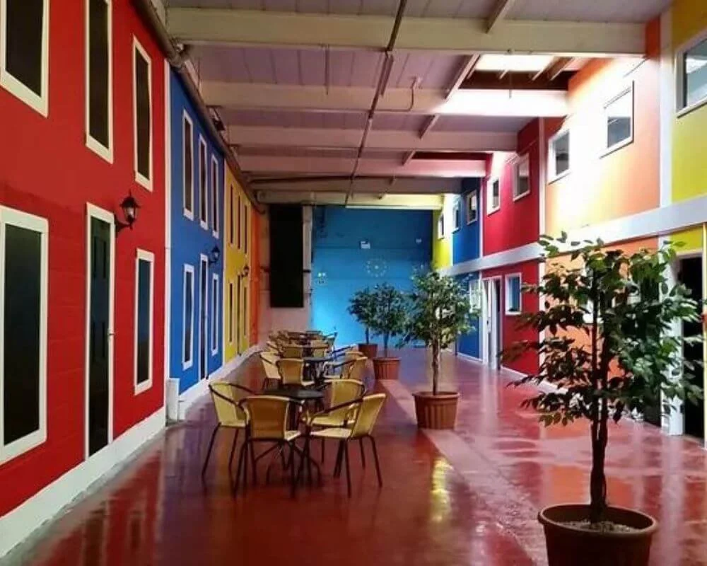 Lemon Frog Dance Studio — Plymouth Culture