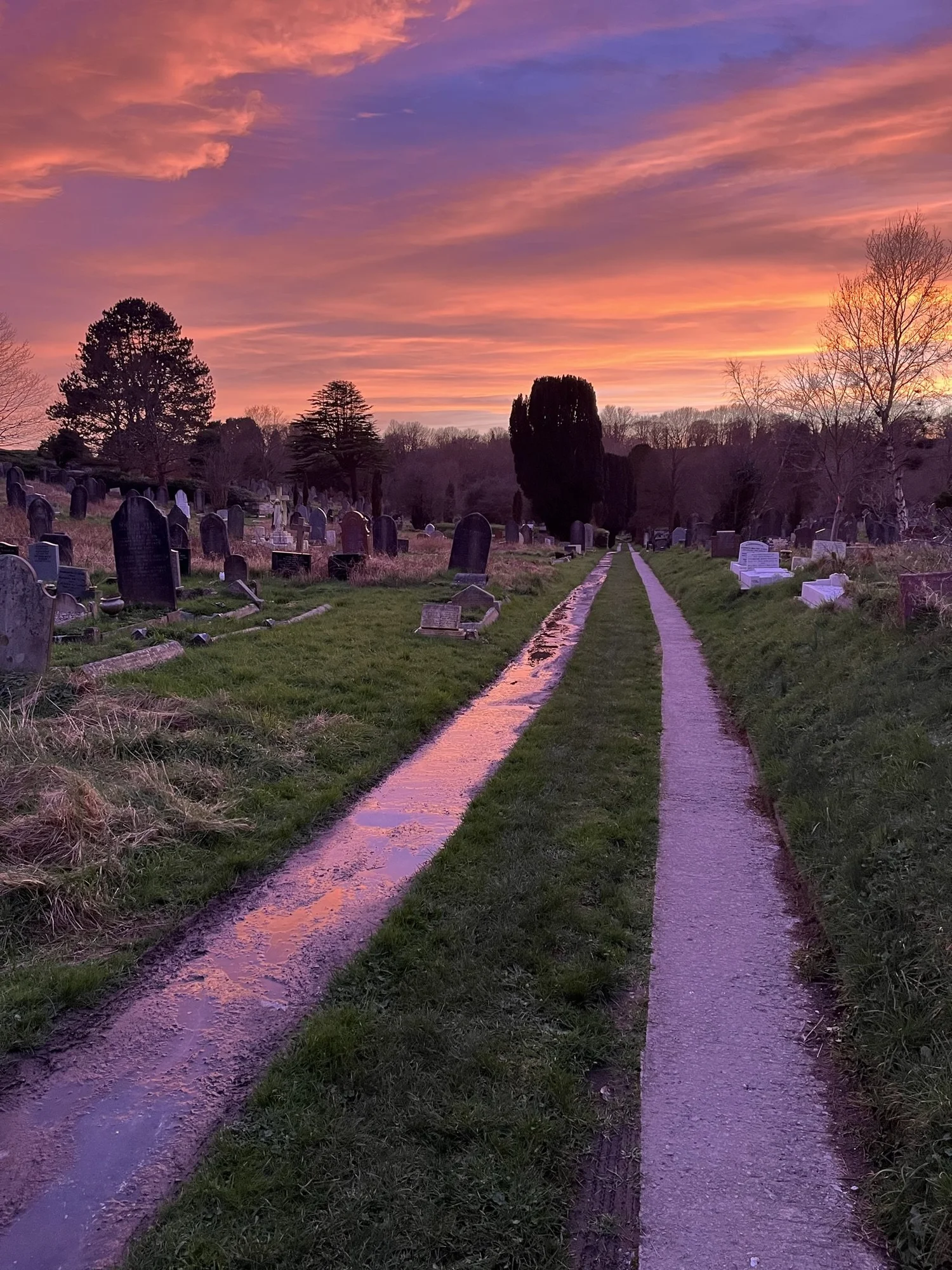 Ford Park Cemetery: One of Plymouth’s natural gems. — Plymouth Culture