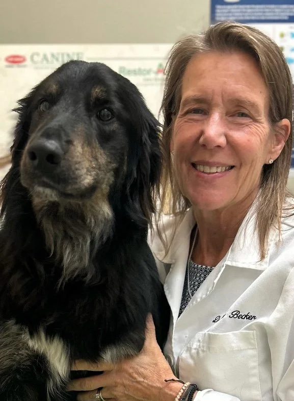 Northwest Animal Hospital