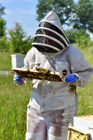 Store — KC Bee Lady