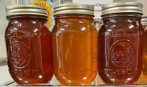 Store — KC Bee Lady