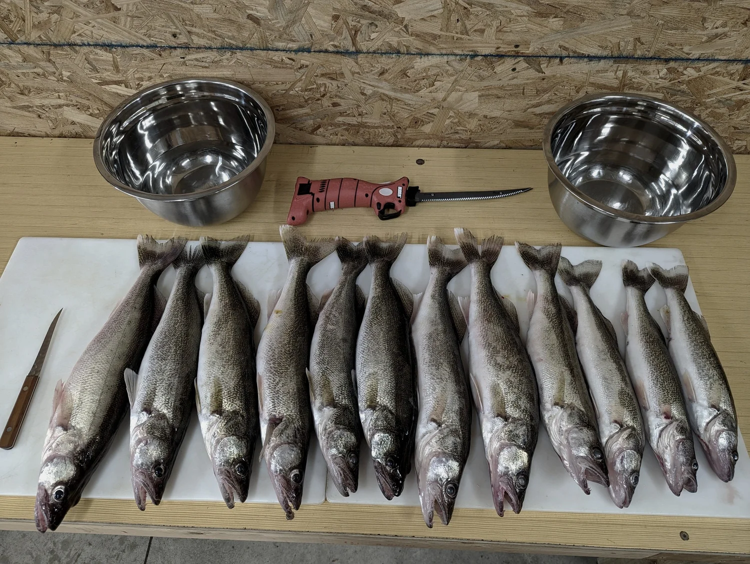 Captain Park's Charters | Book Your Fishing Adventure Today