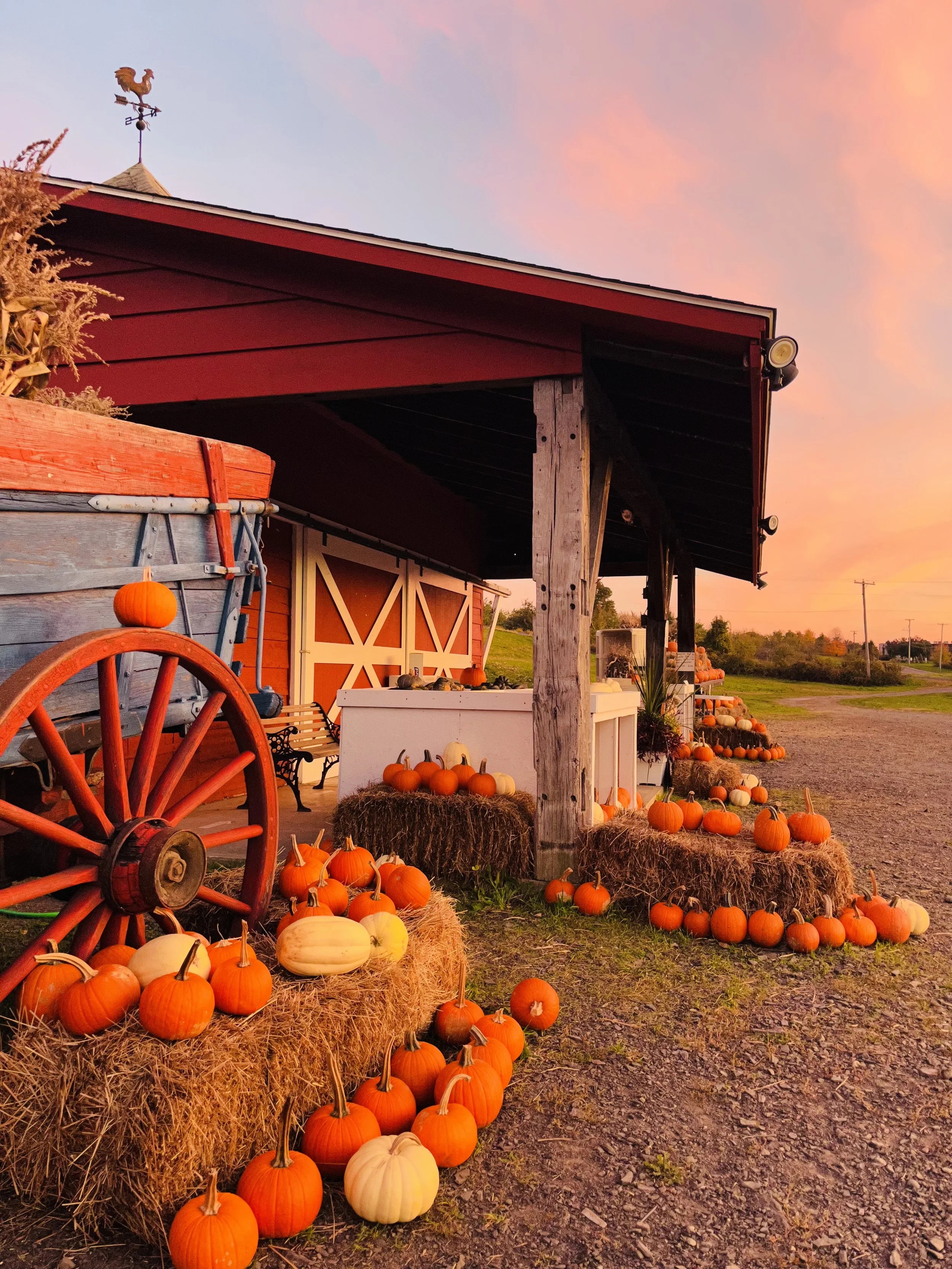 applehillfarm.com