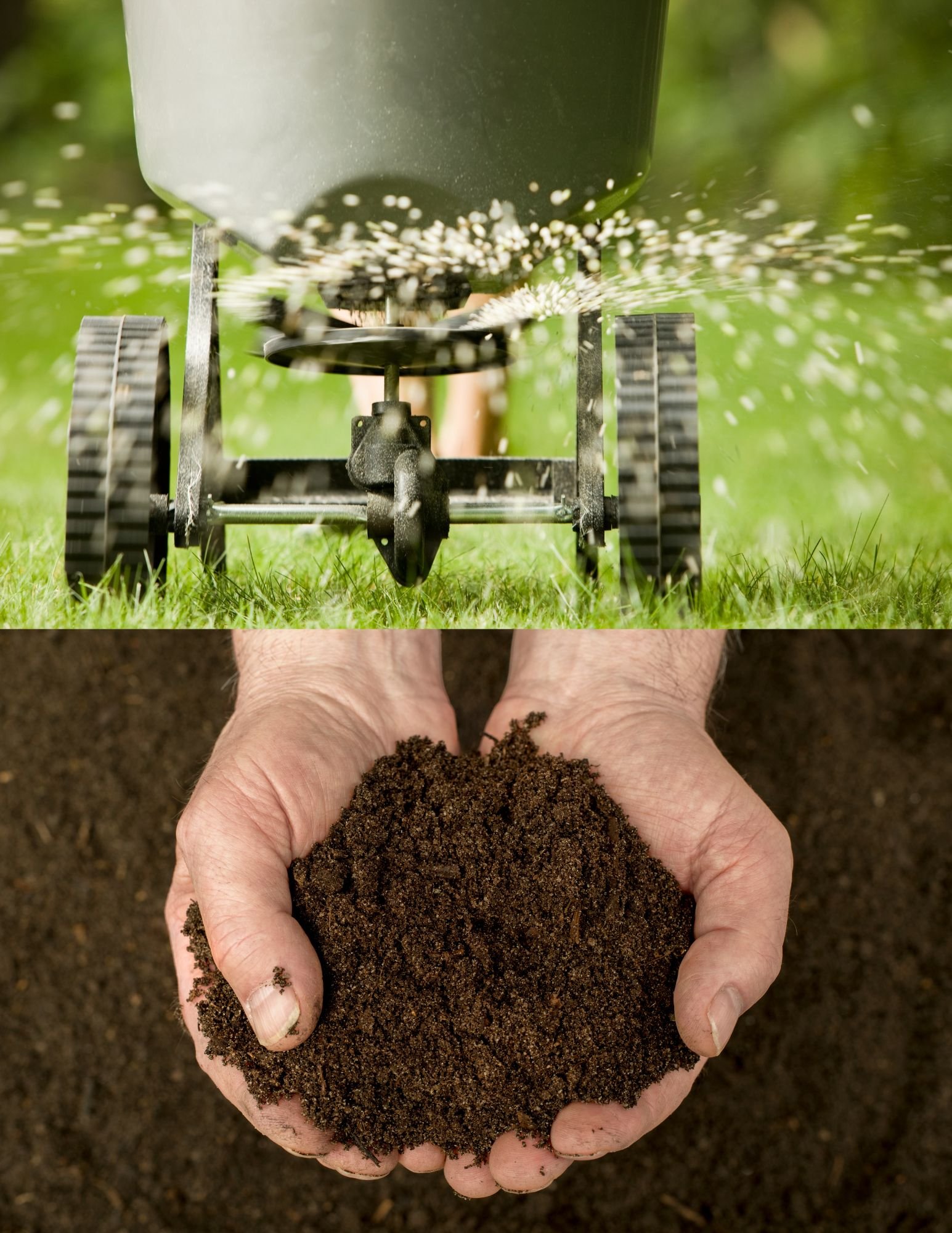 Herbicide and Fertilization Program — Double Eagle Landscaping