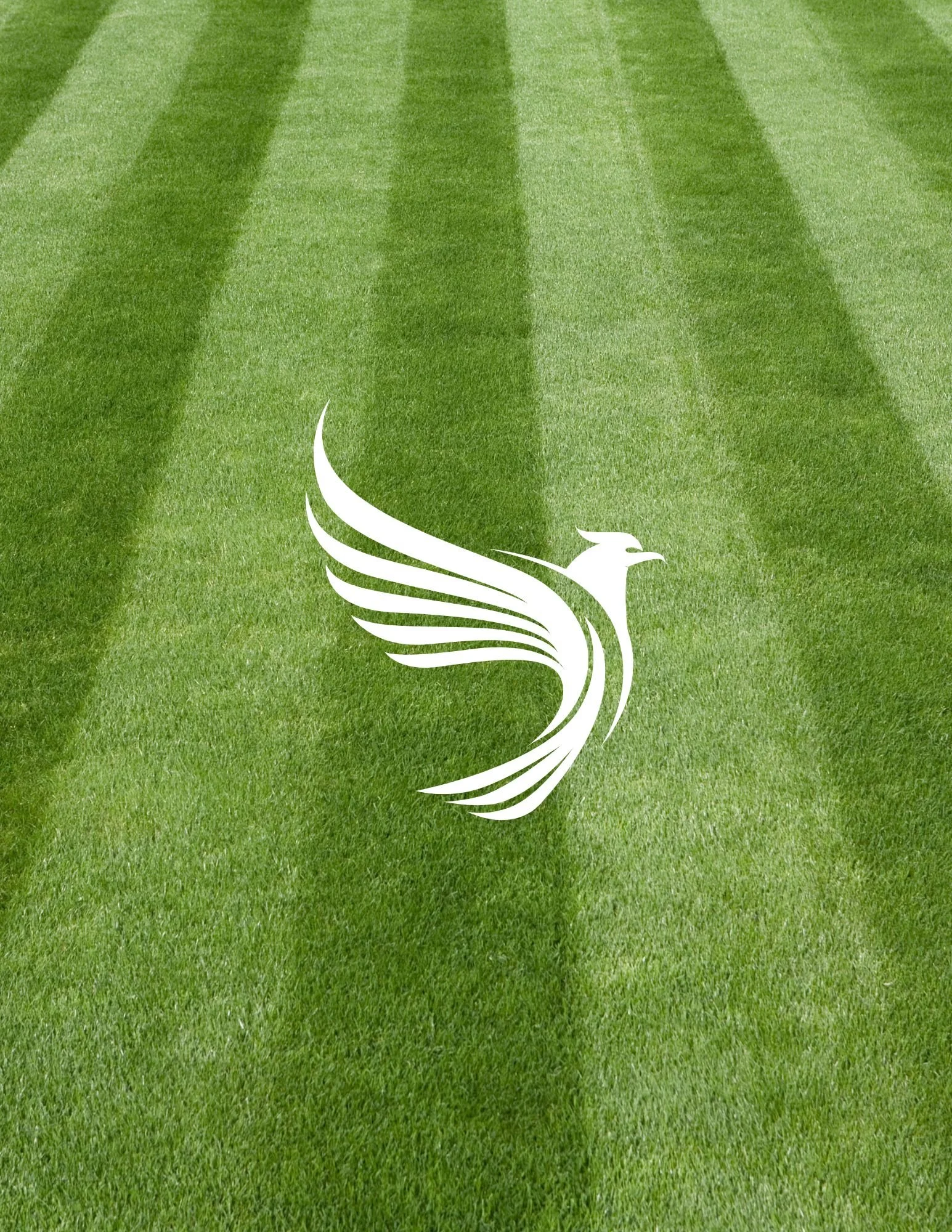 Eagle Package — Double Eagle Landscaping