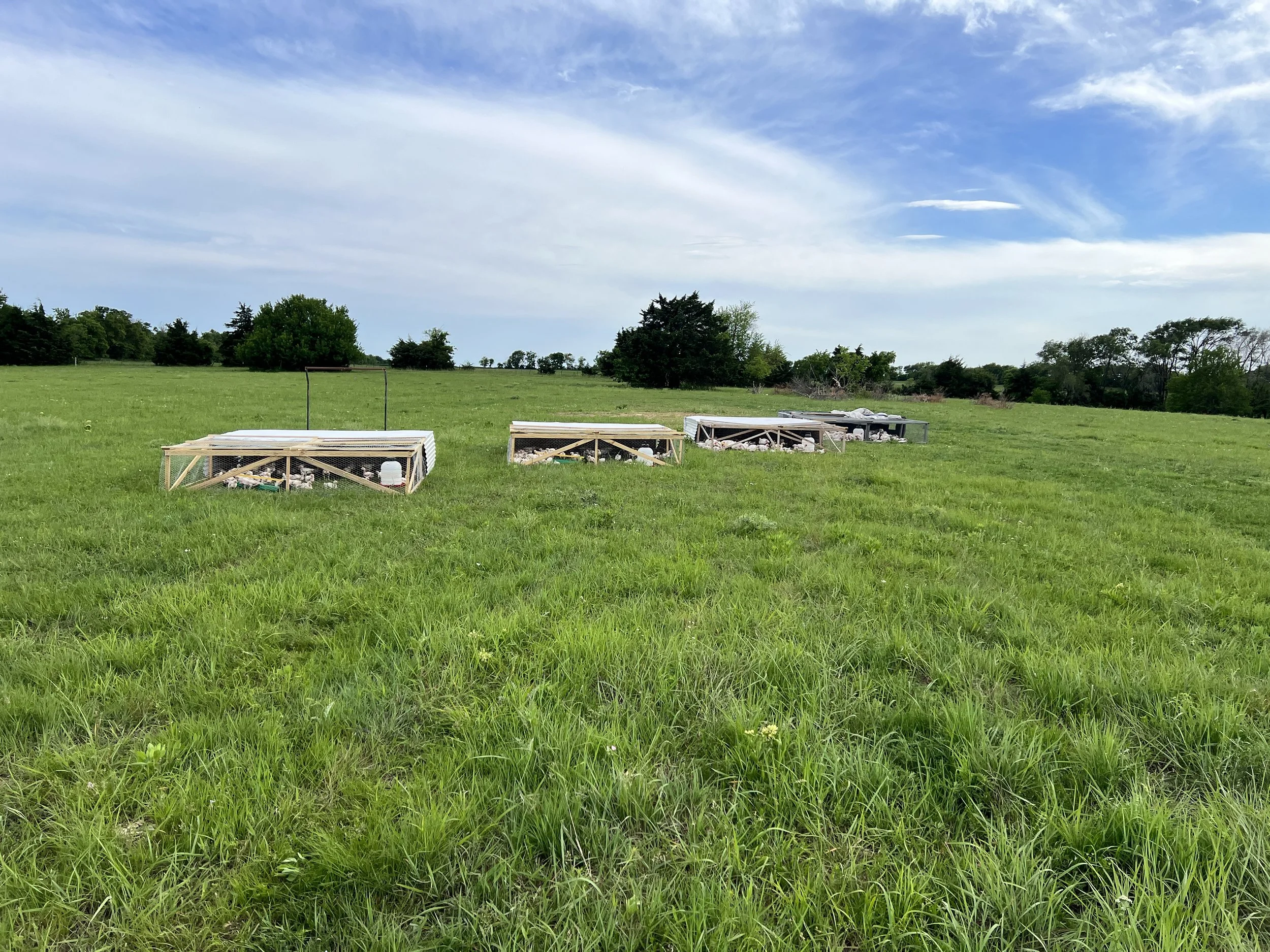 Griffith Family Farm | Pastured Chicken | Pastured Pork | Bundle Boxes ...