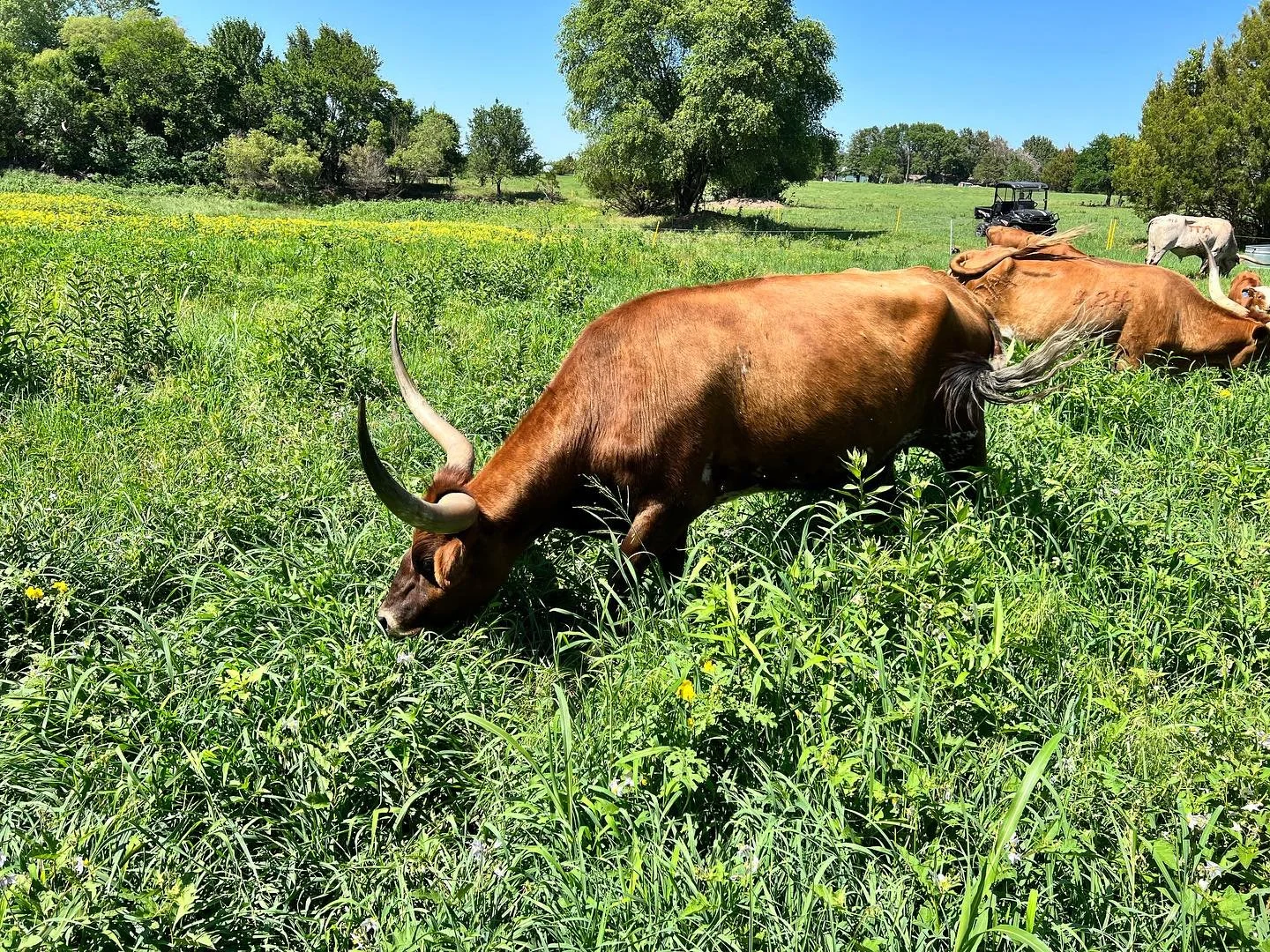 Find Us — Griffith Family Farm
