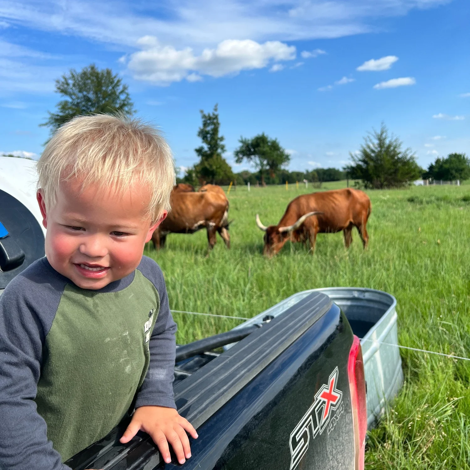 Griffith Family Farm | Pastured Chicken | Pastured Pork | Bundle Boxes ...