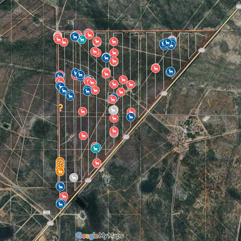 Wildlife Surveys | Precise Data, Act Now — Rio Vision Ranch Solutions