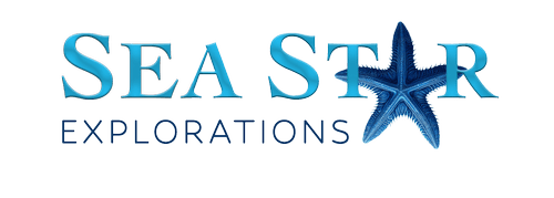Sea Star Explorations