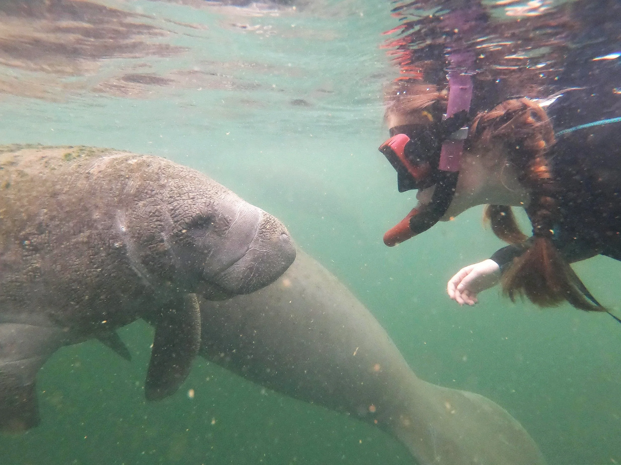 General 1 — Sea Star Explorations