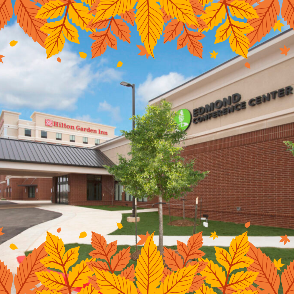 Shows — Vinyl Record Show