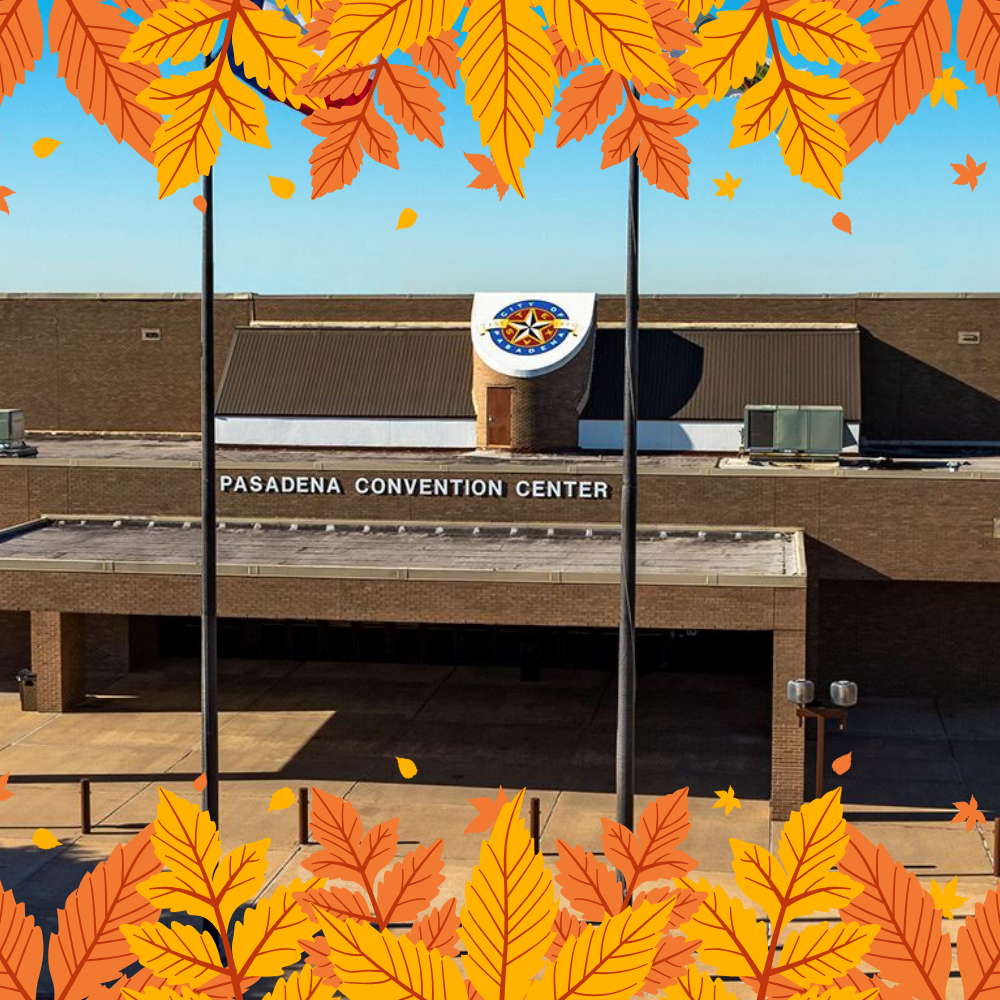 Shows — Vinyl Record Show