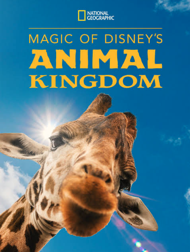 Top 10 Educational Shows on Disney+ for Homeschool Families (With Books ...