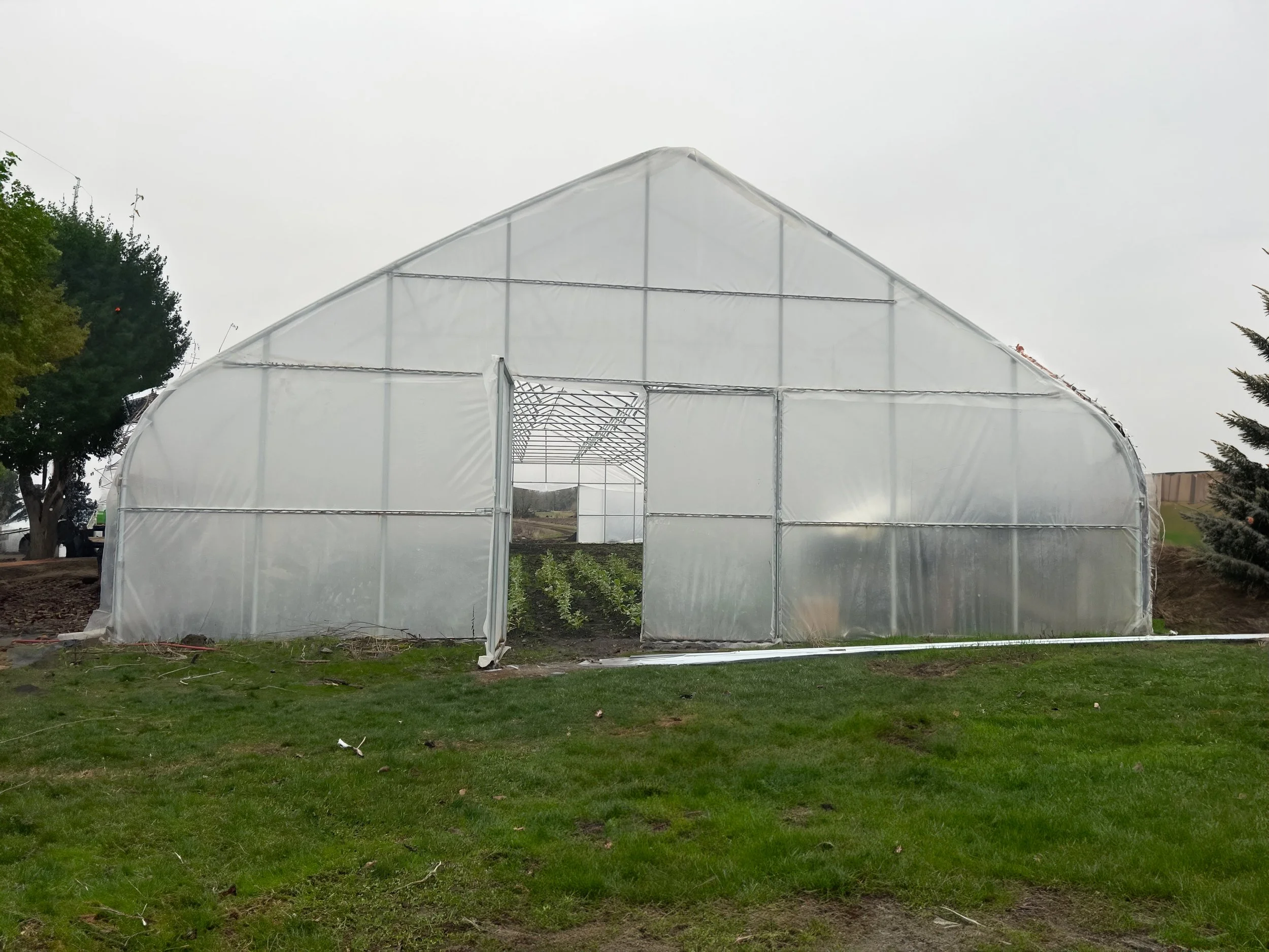 30' Wide Gothic Style Greenhouse — Greenhouse Kits