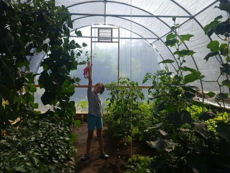 Quonset Greenhouse Kits — Greenhouse Kits