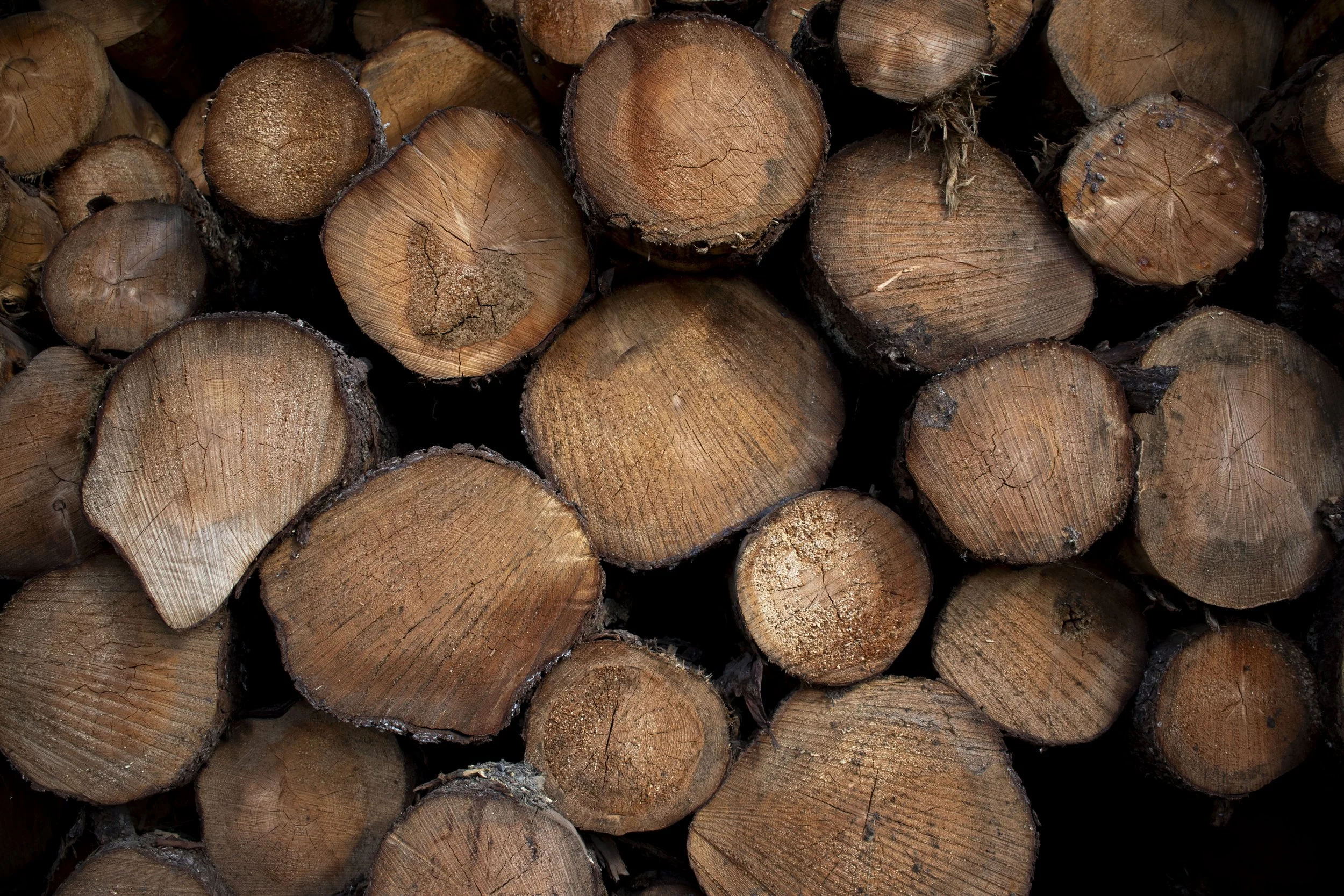 Freeman Lumber - Nova Scotia Canada